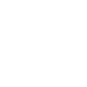 EU Regulation 2023/988